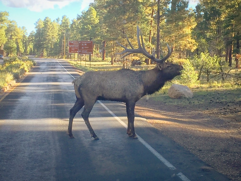 All About the Colorado Plateau - Grand Canyon Adventures