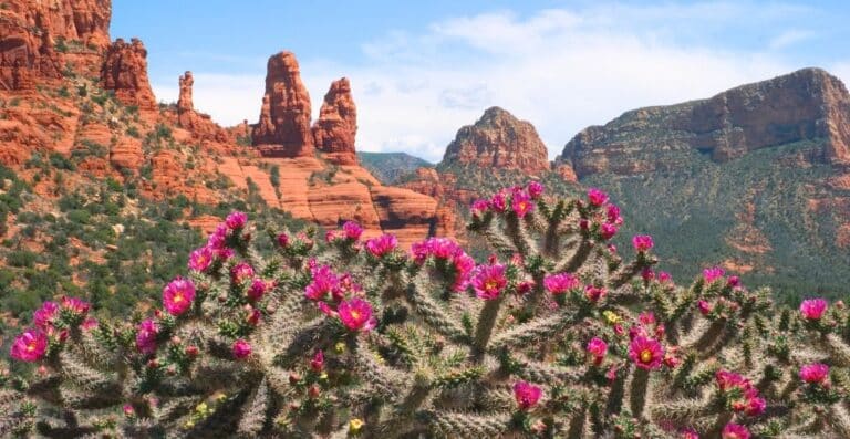 The Ultimate Sedona Travel Guide - The Best Hikes, Tours & More